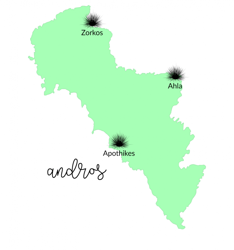 Andros Travel Tips - The Sun Of a Beach Diary